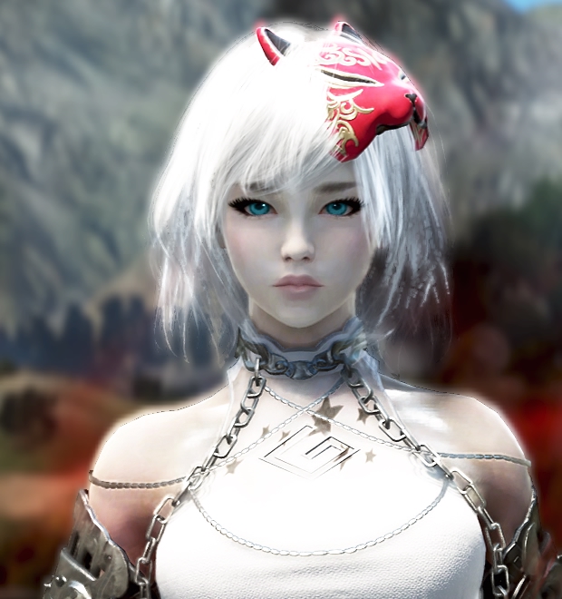 Customization Album | Black Desert