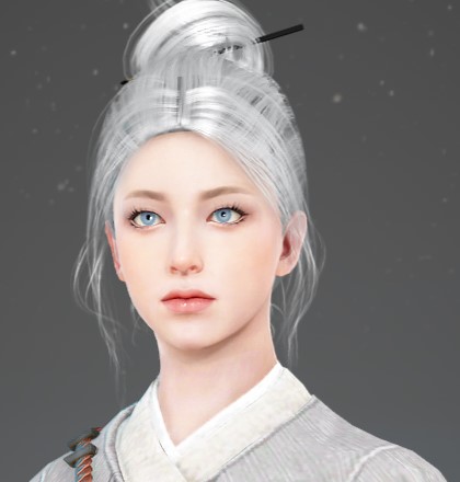 Customization Album | Black Desert