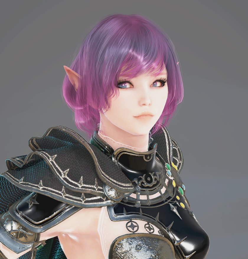 Customization Album | Black Desert